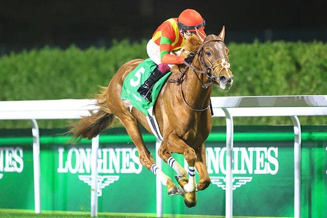 フォワ賞（G2） 2025/9/7(日) | 日程・結果 | JRA-VAN World - 海外競馬情報サイト