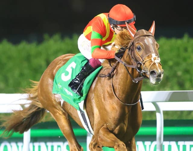 フォワ賞（G2） 2025/9/7(日) | 日程・結果 | JRA-VAN World - 海外競馬情報サイト