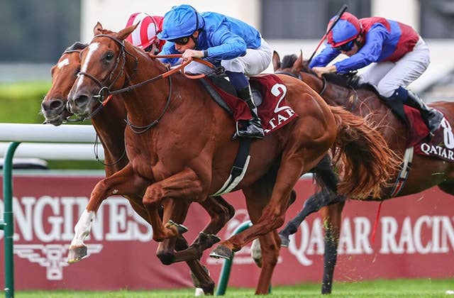 ニエル賞（G2） 2025/9/7(日) | 日程・結果 | JRA-VAN World - 海外競馬情報サイト