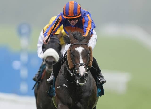 英セントレジャー（G1） 2025/9/13(土) | 日程・結果 | JRA-VAN World - 海外競馬情報サイト