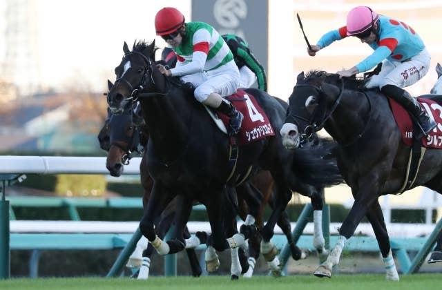 メルボルンカップ（G1） 2025/11/4(火) | 日程・結果 | JRA-VAN World - 海外競馬情報サイト