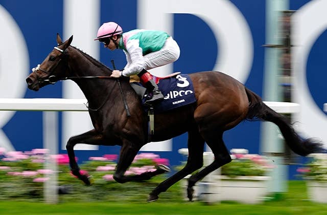 英チャンピオンズフィリーズ＆メアズステークス（G1） 2025/10/18(土) | 日程・結果 | JRA-VAN World - 海外競馬情報サイト