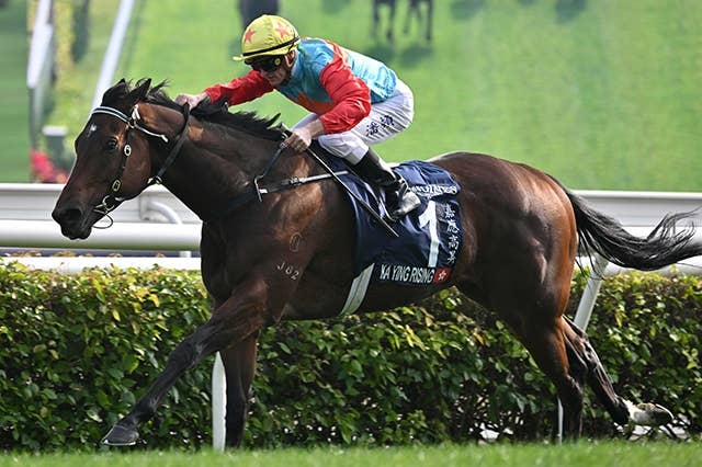 香ジョッキークラブスプリント（G2） 2025/11/23(日) | 日程・結果 | JRA-VAN World - 海外競馬情報サイト