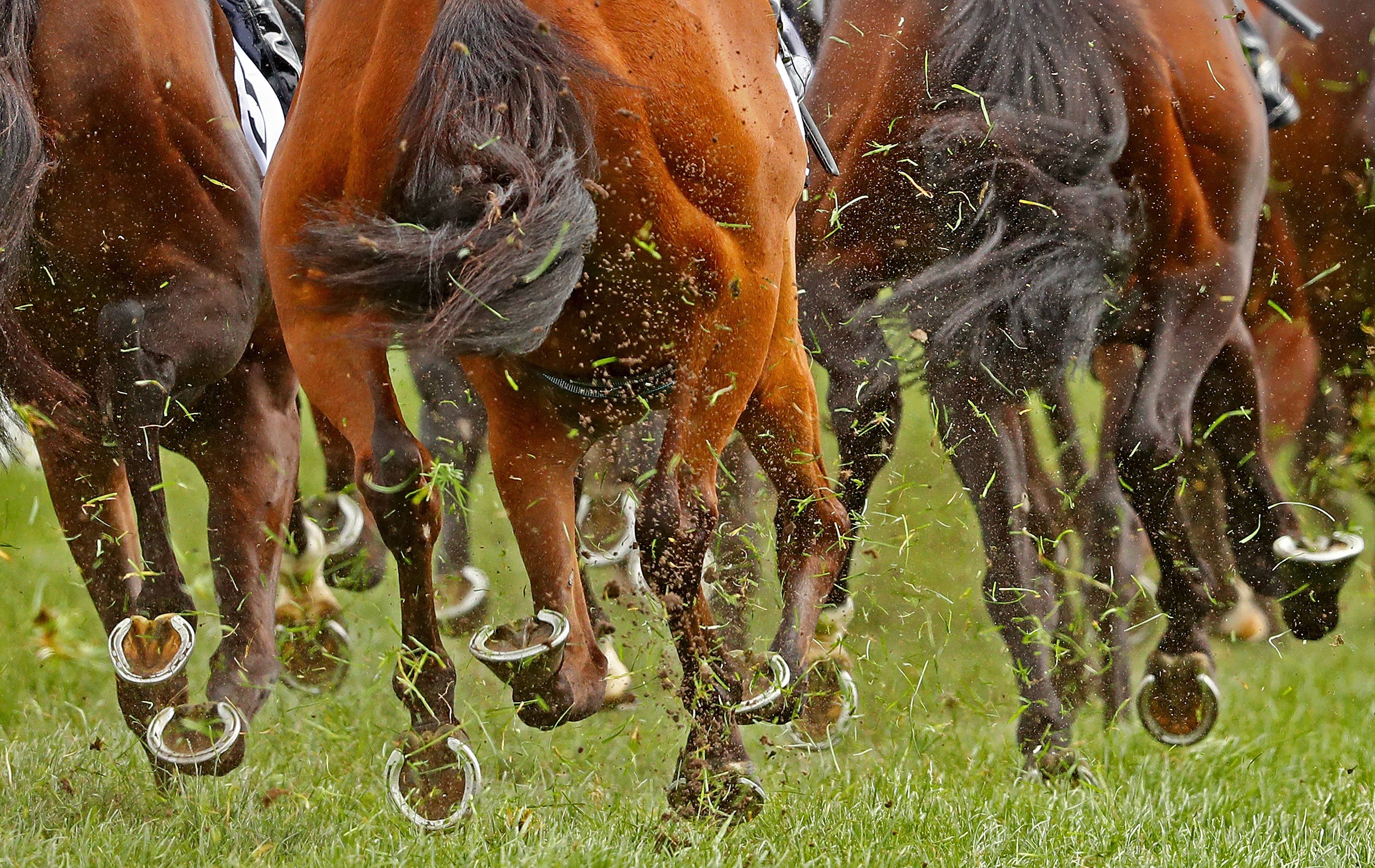 ジョッキークラブマイル（G2） 2025/11/23(日) | 日程・結果 | JRA-VAN World - 海外競馬情報サイト