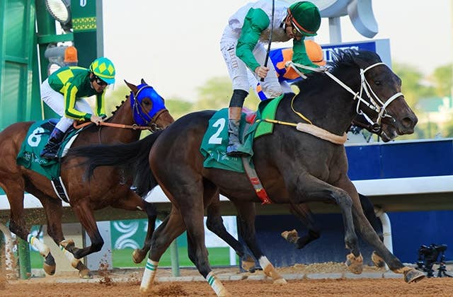 ワンダーディーン（Wonder Dean） | 競馬データベース | JRA-VAN World - 海外競馬情報サイト