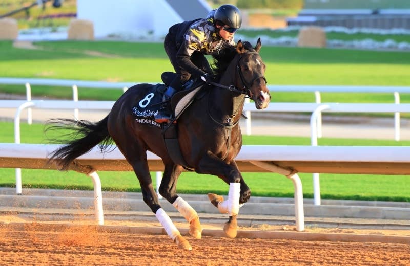 ワンダーディーン（Wonder Dean） | 競馬データベース | JRA-VAN World - 海外競馬情報サイト