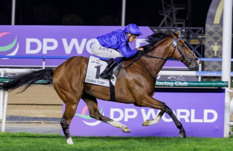 オンブズマン（Ombudsman） | 競馬データベース | JRA-VAN World - 海外競馬情報サイト