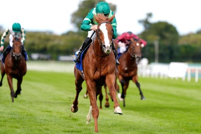 英ダービー枠順確定、ベンヴェヌートチェッリーニは12番枠 | JRA-VAN World - 海外競馬情報サイト