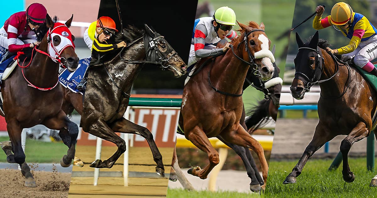 2024ブリーダーズカップジュベナイルターフスプリント | JRA-VAN World - 海外競馬情報サイト