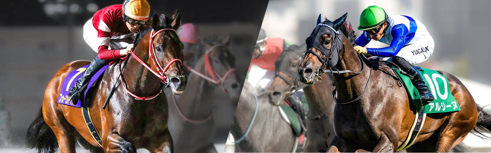 2025ブリーダーズカップ | JRA-VAN World - 海外競馬情報サイト