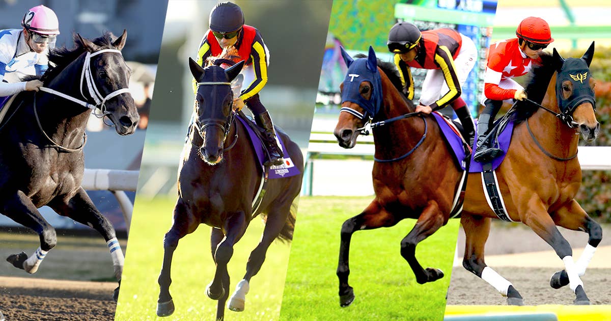 2022ドバイワールドカップデー | JRA-VAN ver.World