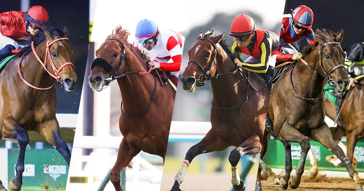 2025UAEダービー | JRA-VAN World - 海外競馬情報サイト