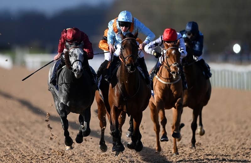 レース傾向 | 2024香港チャンピオンズマイル | JRA-VAN World - 海外競馬情報サイト