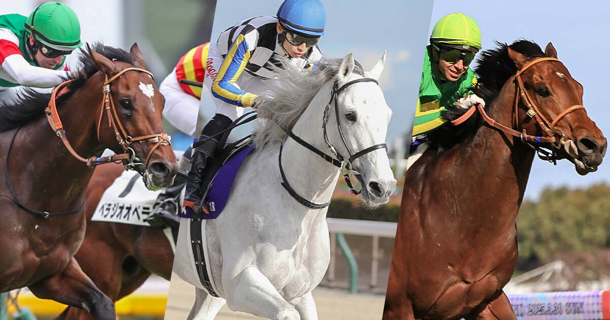 出馬表 | 2025チェアマンズスプリントプライズ | JRA-VAN World - 海外競馬情報サイト