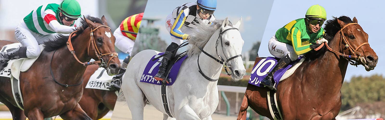 2025香港チャンピオンズデー | JRA-VAN World - 海外競馬情報サイト