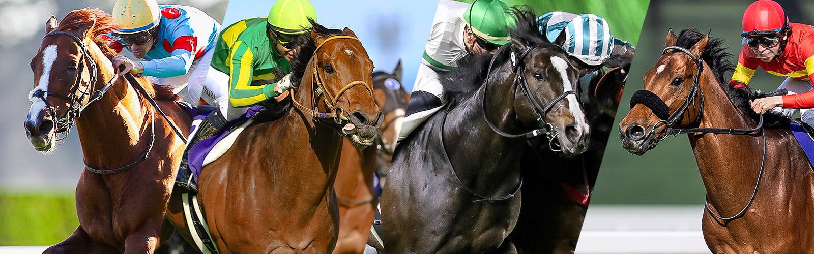 ニュース | 2025香港国際競走 | JRA-VAN World - 海外競馬情報サイト