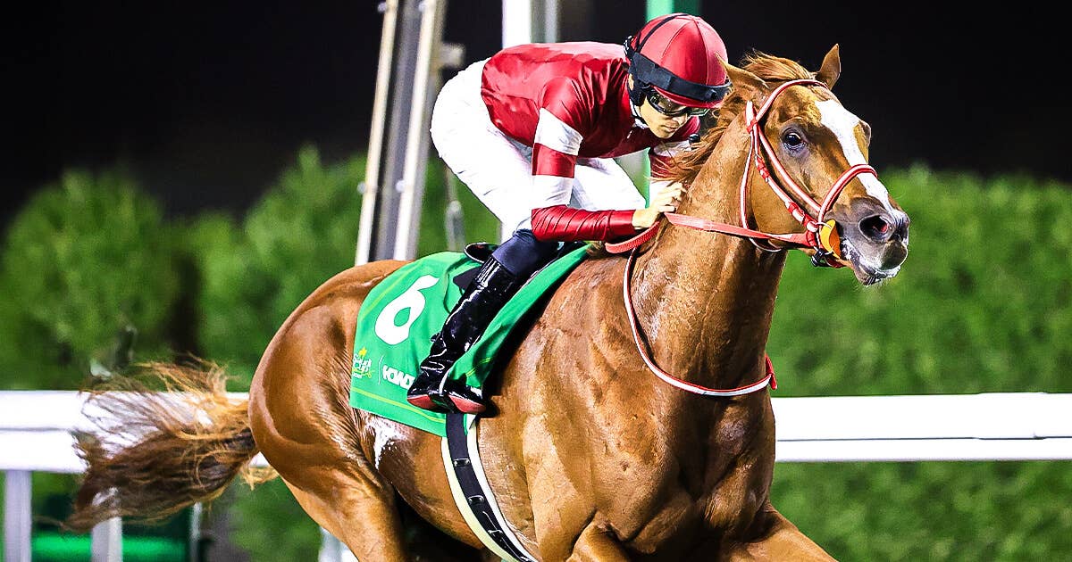 オッズ | 2025アイリッシュチャンピオンステークス | JRA-VAN World - 海外競馬情報サイト