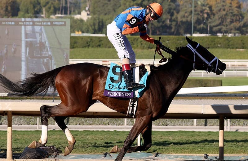 レース傾向 | 2024ケンタッキーダービー | JRA-VAN World - 海外競馬情報サイト