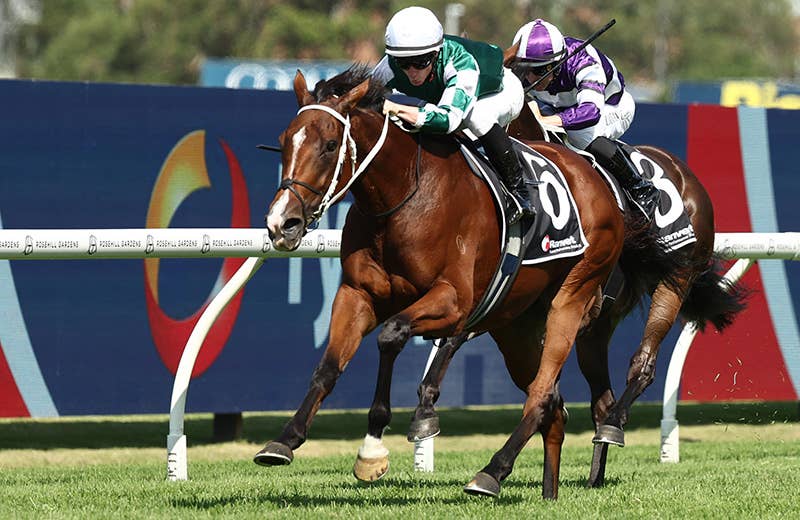 レース傾向 | 2025クイーンエリザベスステークス | JRA-VAN World - 海外競馬情報サイト